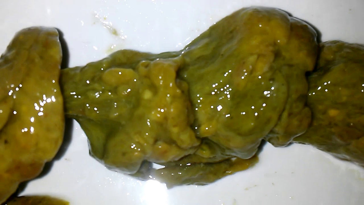 COLON CONGESTION - Fermentation, Candida, Yeast, IBS, Immune system de ...