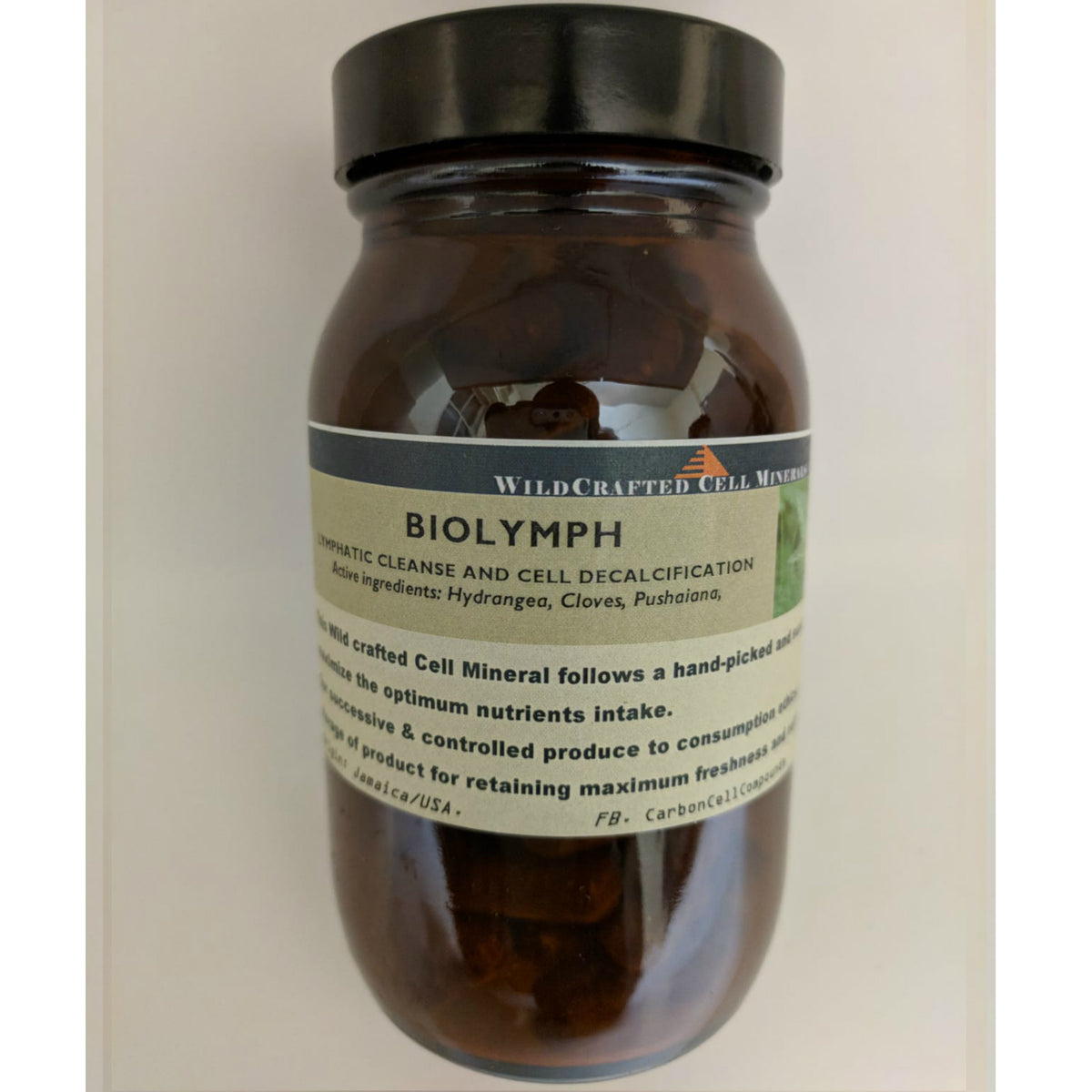 BIOLYMPH – Carbon Cell Compounds